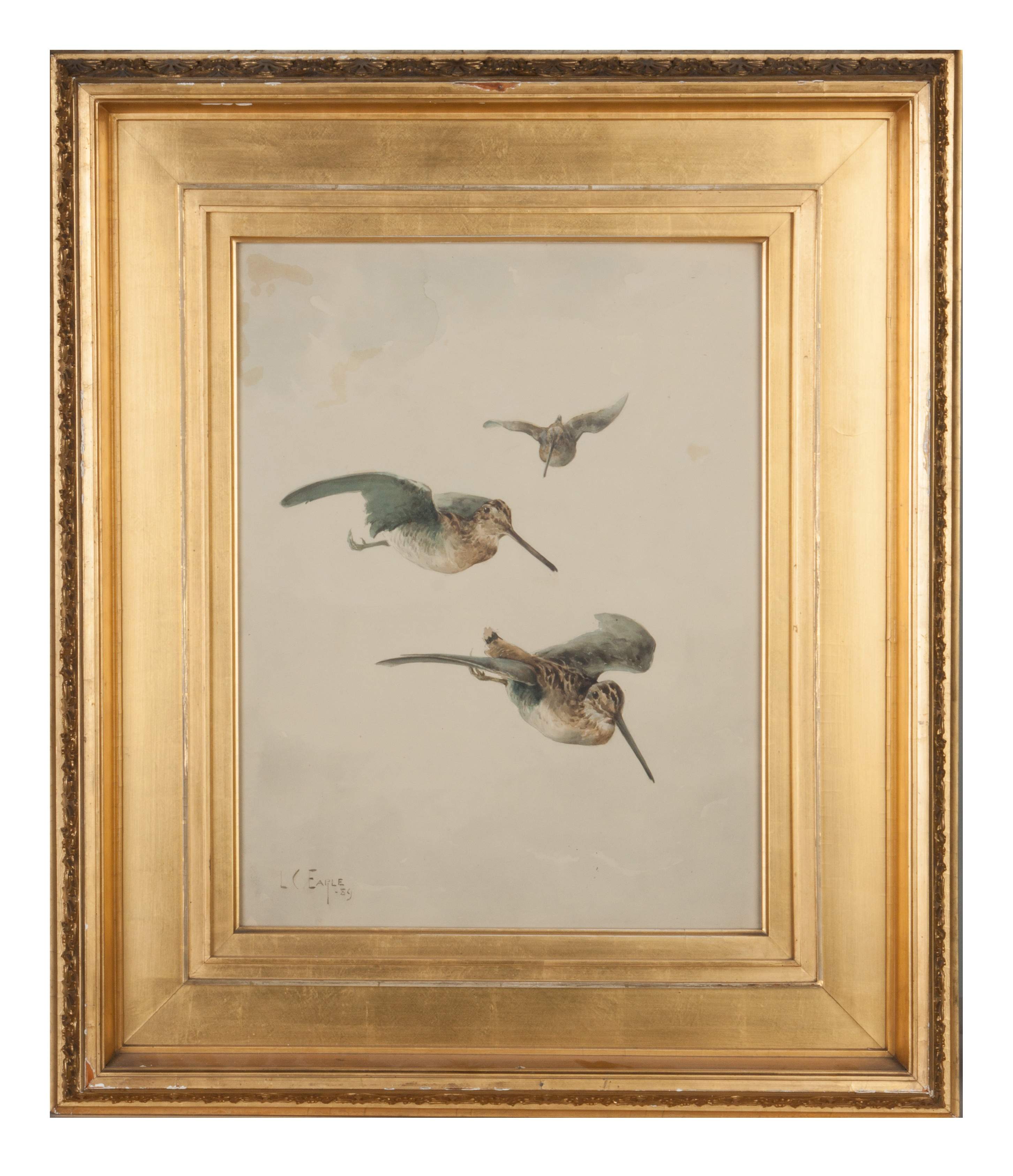 Lawrence Carmichael Earle (American, 1845-1921) Birds | Cottone Auctions