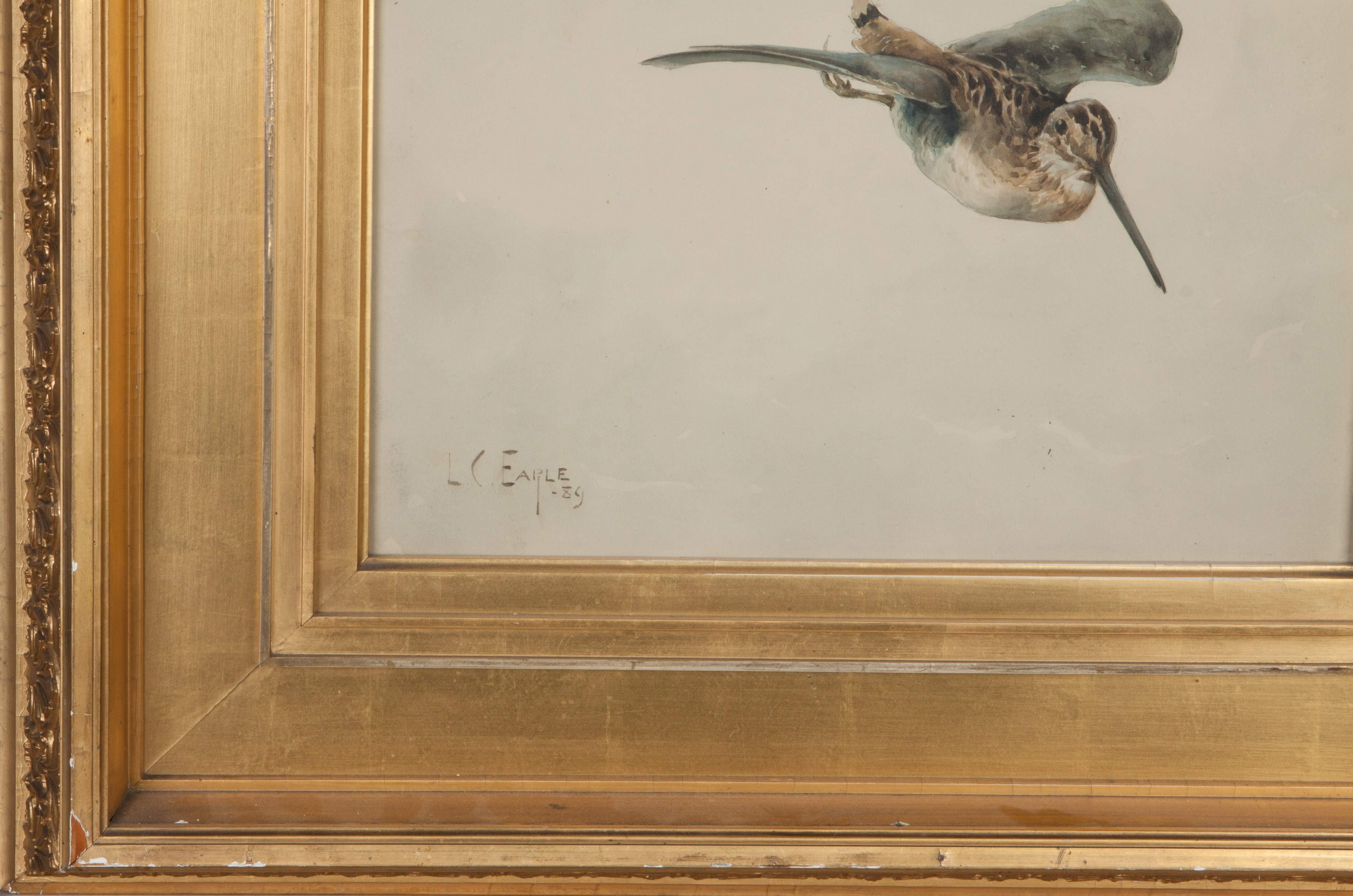 Lawrence Carmichael Earle (American, 1845-1921) Birds | Cottone Auctions