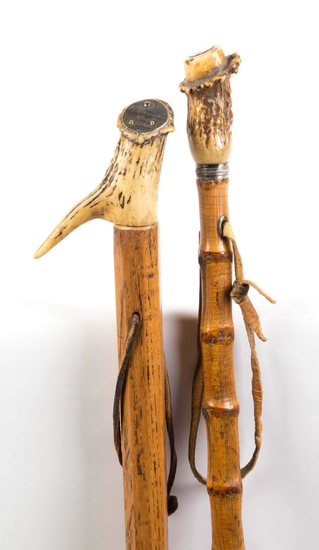 Two Horn Canes | Cottone Auctions