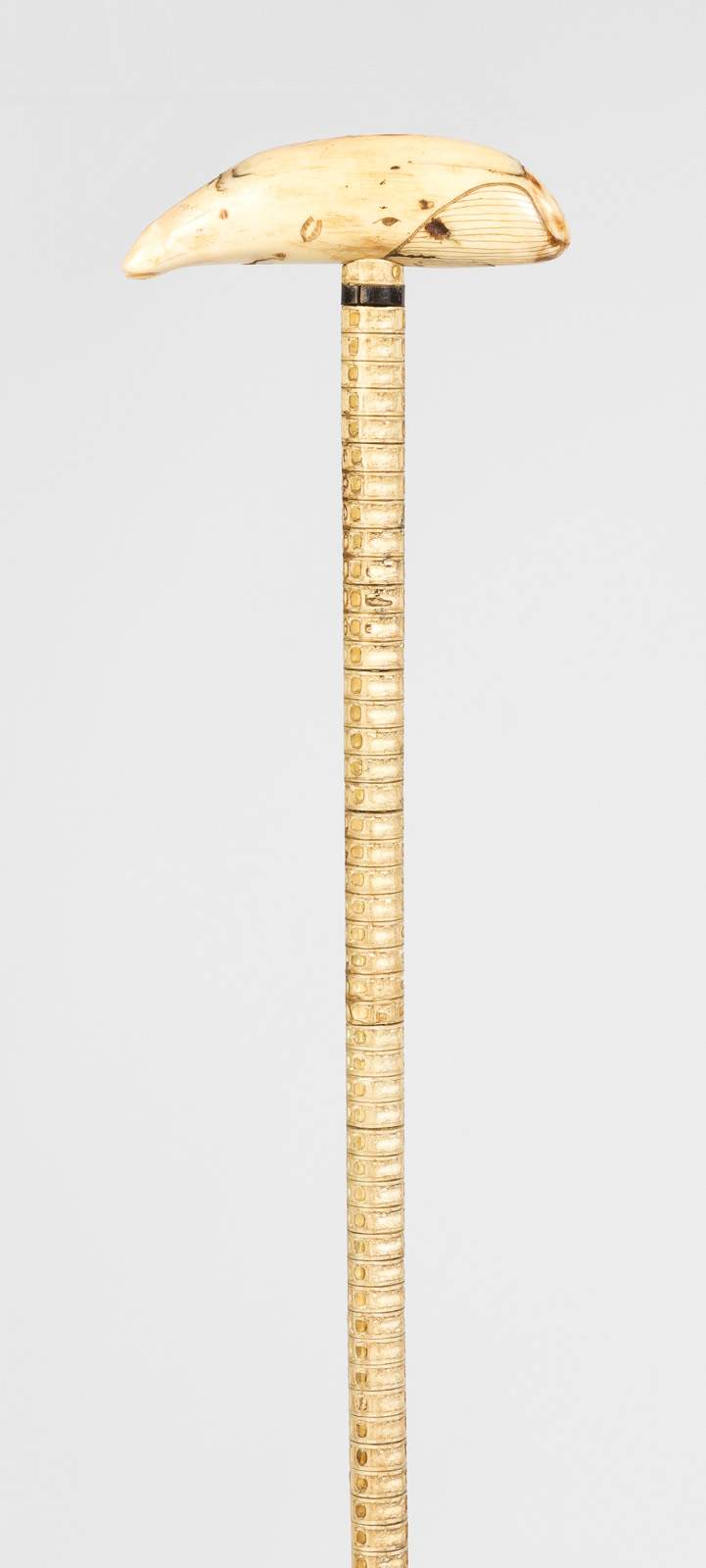 Shark Cartilage & Scrimshaw Whales Tooth Cane | Cottone Auctions