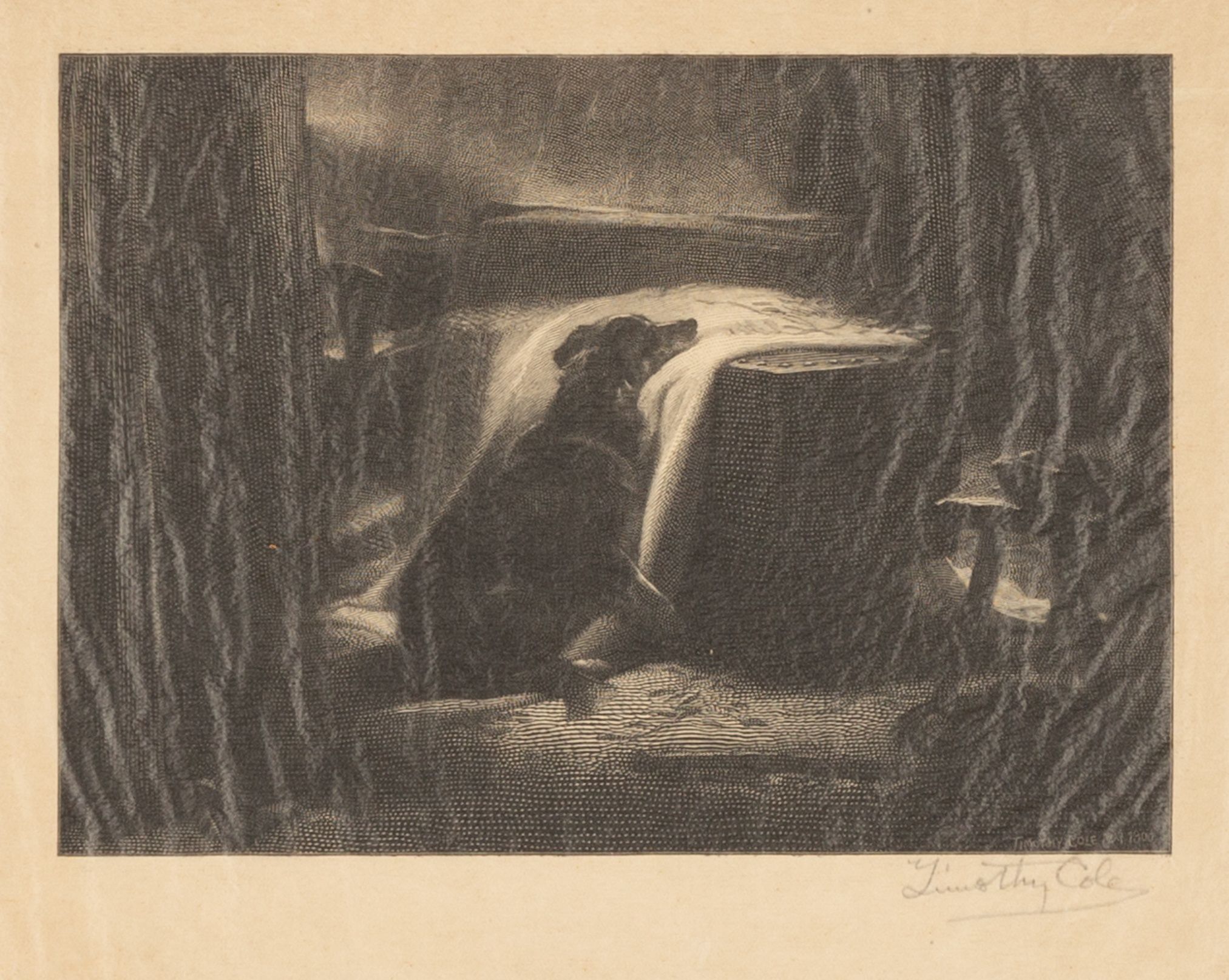 Timothy Cole (American, 1852-1931) Engraving with Dog | Cottone Auctions