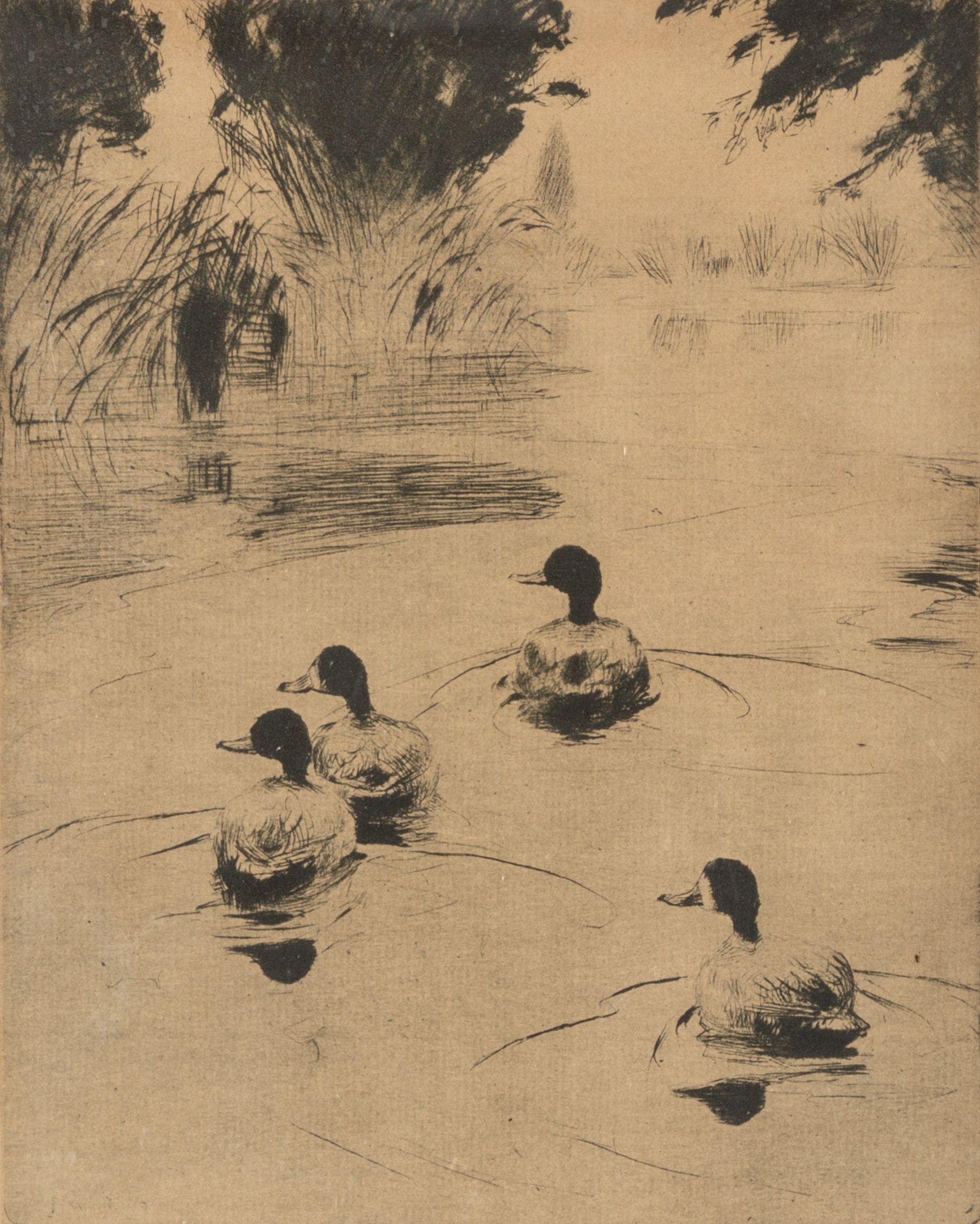 Frank Weston Benson (American, 1862-1951) "Broadbills" | Cottone Auctions