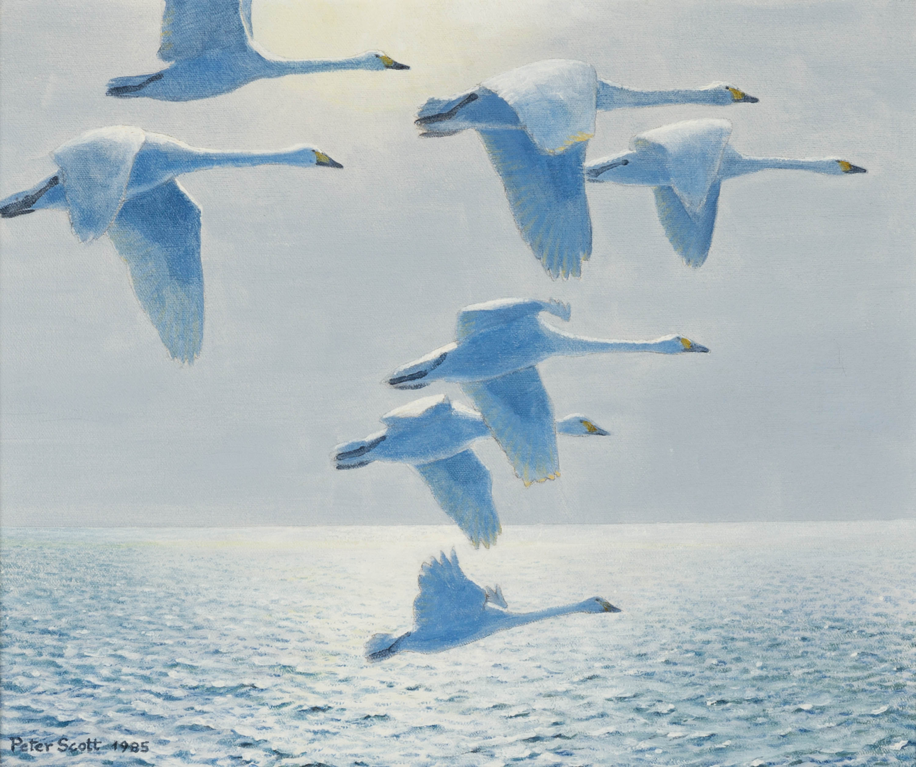 Peter Scott (British, 1909-1989) Geese in Flight | Cottone Auctions
