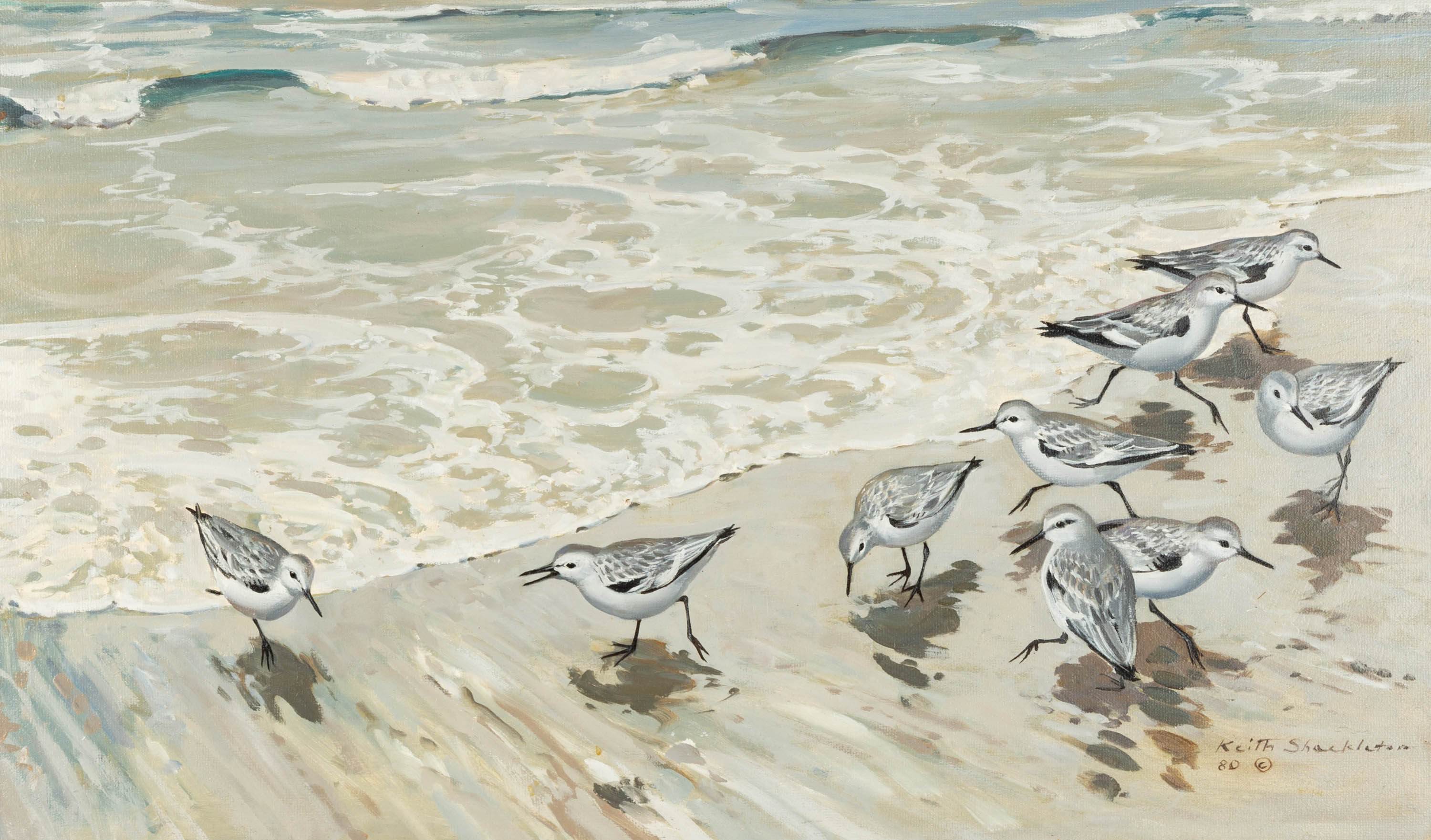 Keith Shackleton (British, 1923-2015) "Sanderlings" | Cottone Auctions