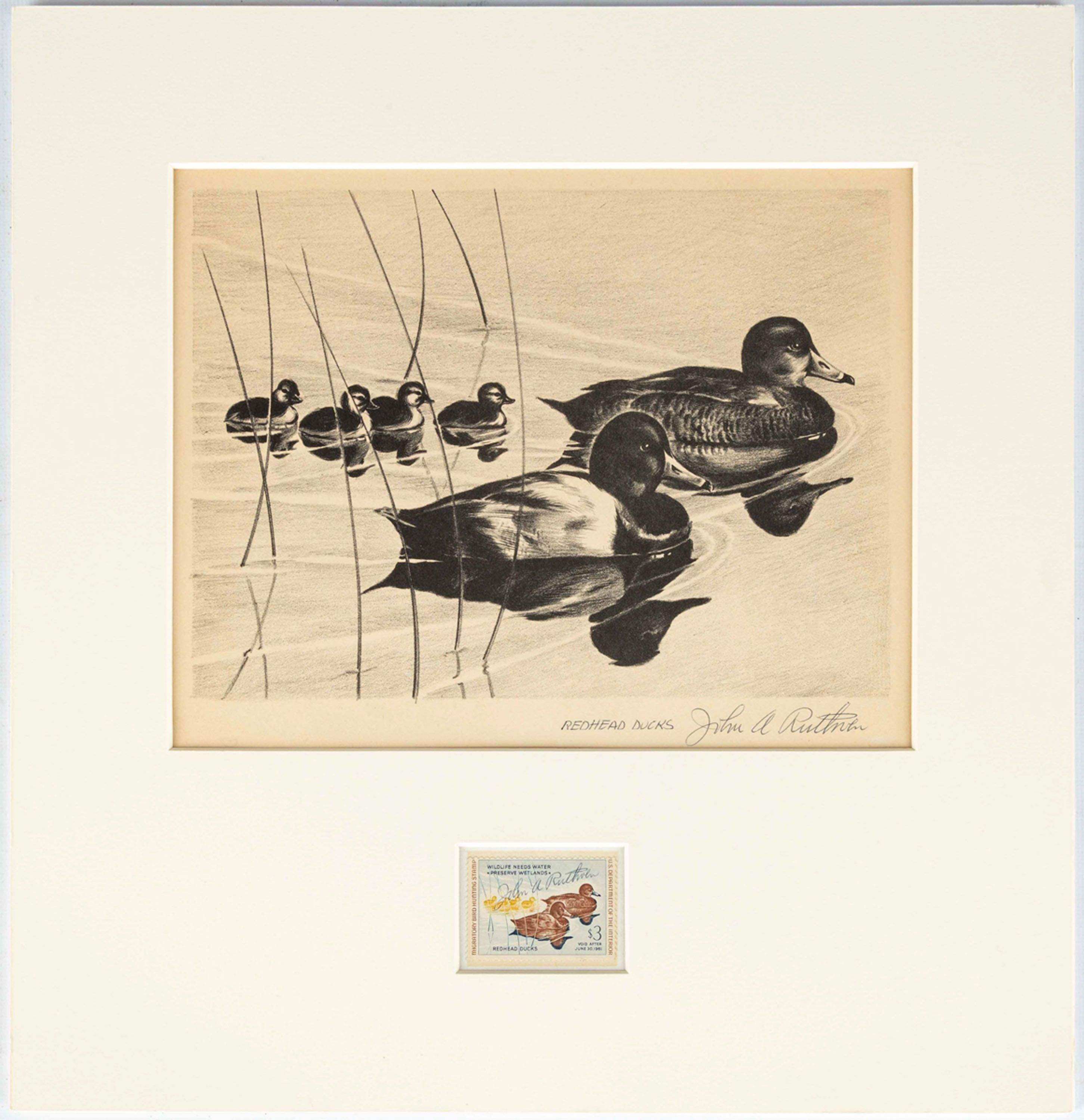 (5) Federal Duck Stamps & Lithographs | Cottone Auctions