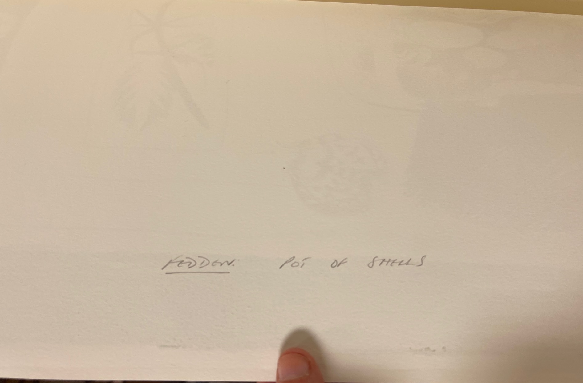 Mary Fedden R.A. (British, 1915-2012) "Pot of Shells" 1971 | Cottone ...