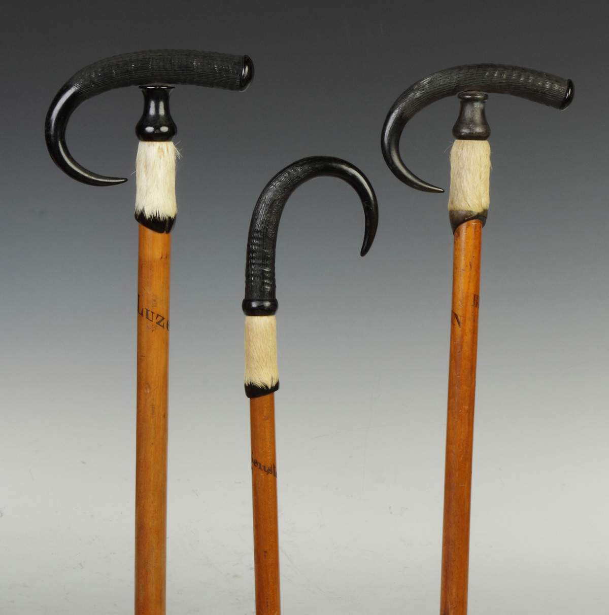 Three Goat Horn & Hoof Mountain Climbing Canes | Cottone Auctions