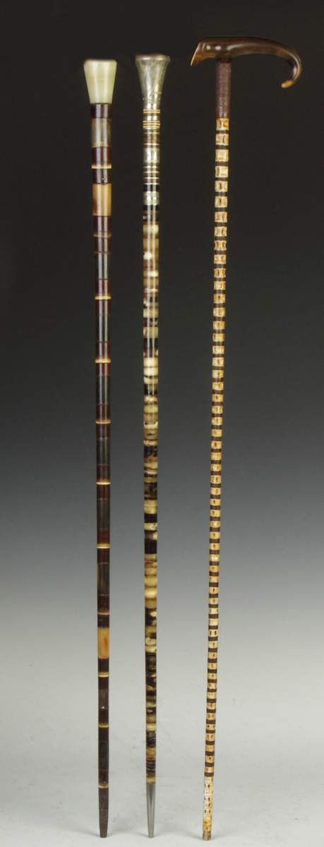 Horn Canes & Shark Cartilage Cane | Cottone Auctions