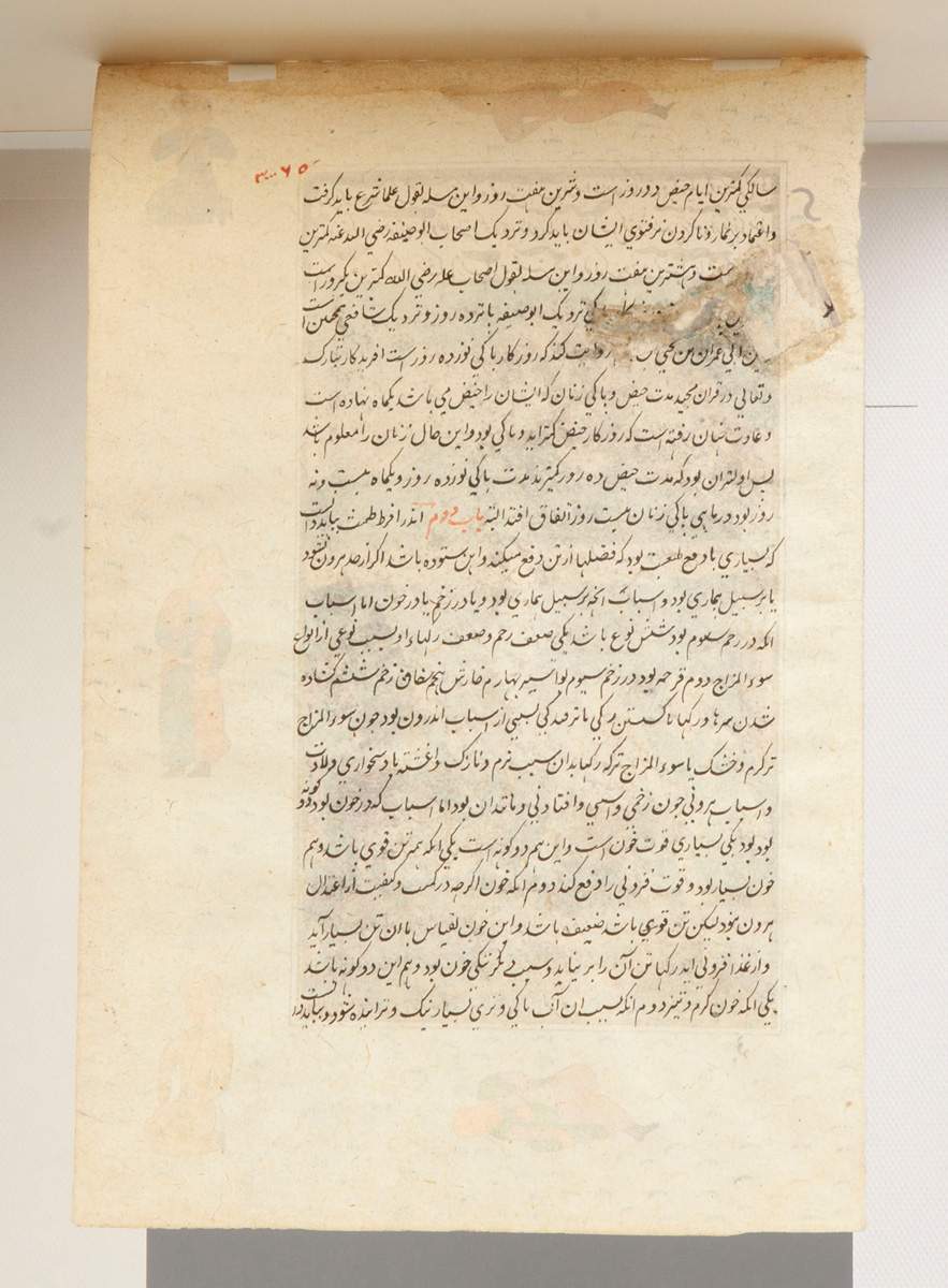 Four Early Islamic Manuscript Pages | Cottone Auctions