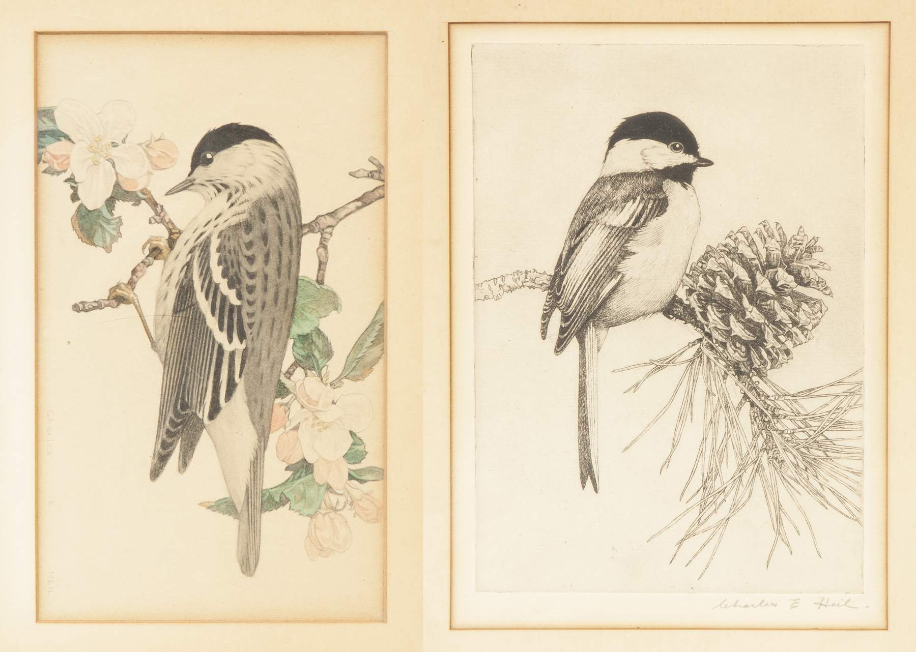 Charles Emile Heil (MA, 1870-1950), Watercolor & etching of birds ...